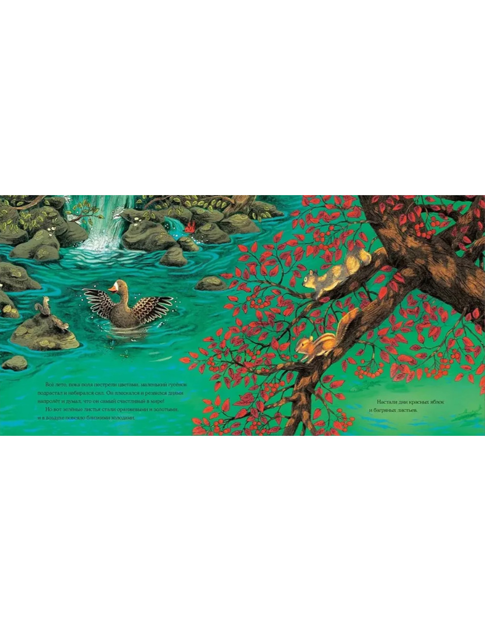 Вуллард. Осень гусёнка. Сказка - Arbat.gr